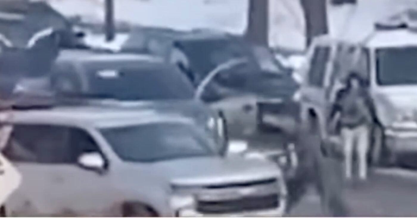 Videos of Renee Goode hitting ICE Agent with her car - Crime Prevention ...